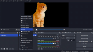 How to Use Green Screen for Streaming on Twitch, Steam, Discord | RealGear