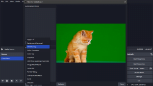 How to Use Green Screen for Streaming on Twitch, Steam, Discord | RealGear