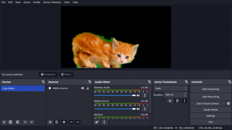 How to Use Green Screen for Streaming on Twitch, Steam, Discord | RealGear