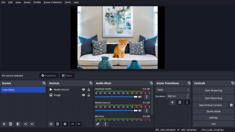 How to Use Green Screen for Streaming on Twitch, Steam, Discord | RealGear