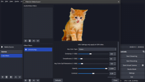 How to Use Green Screen for Streaming on Twitch, Steam, Discord | RealGear